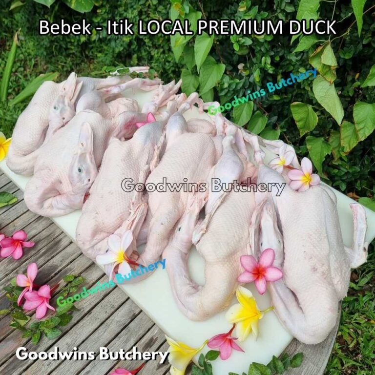 Bebek Itik utuh beku GOLDEN PEKING & LOCAL PREMIUM DUCK frozen whole ...